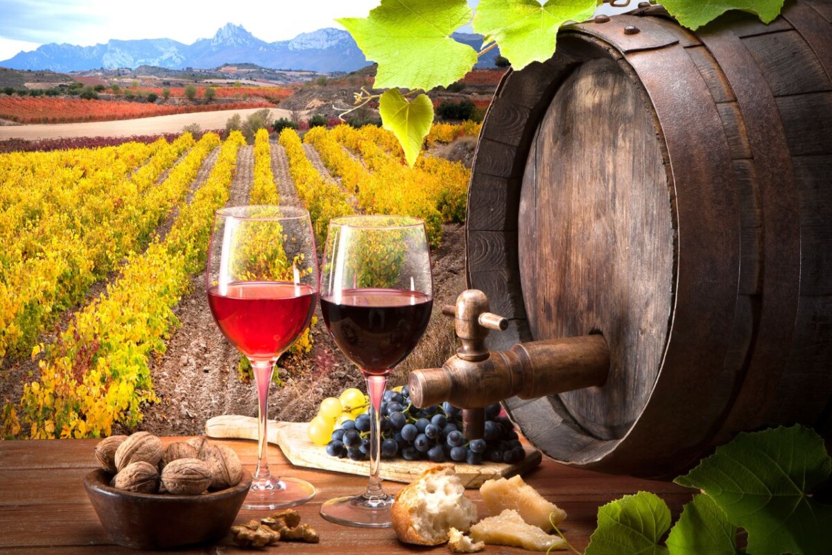 Hoe krijgt wijn zijn kleur? Alles over rode, witte en rosé wijn