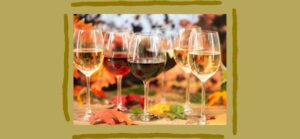 Wat is wijn? Ontdek de basis, soorten en het productieproces